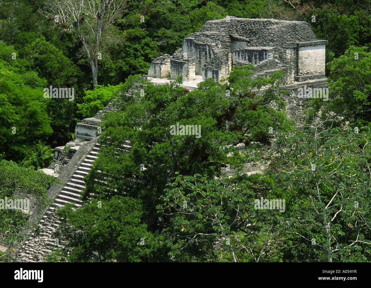 The lost world pyramid in tikal hi-res stock photography and images - Alamy