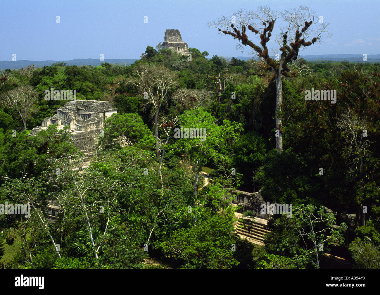 Temple IV from El Mundo Perdido, Tikal, El Petén, Guatemala Stock Photo ...