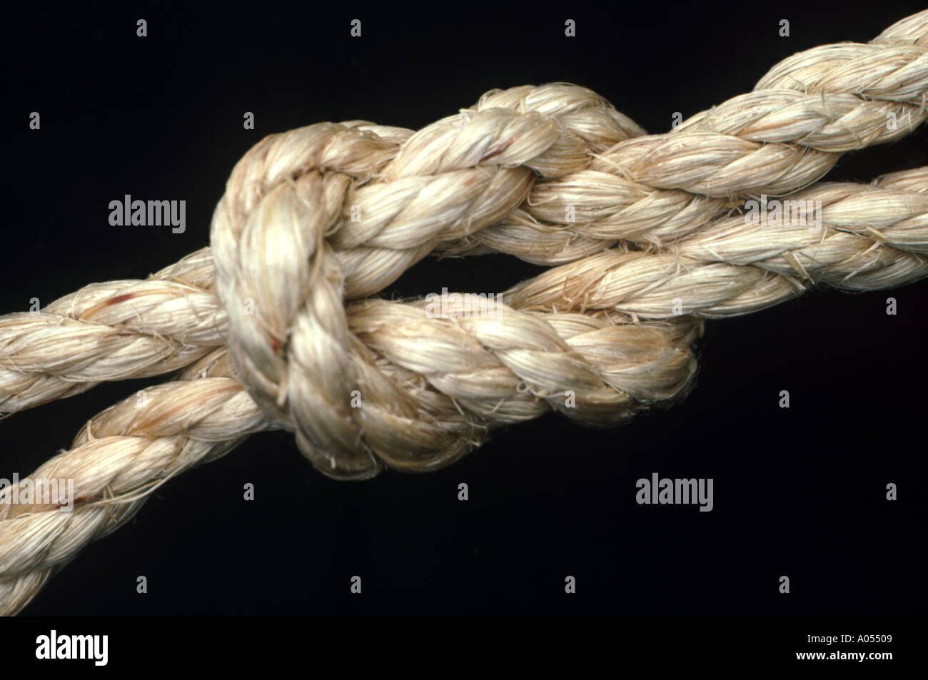 Square Knot