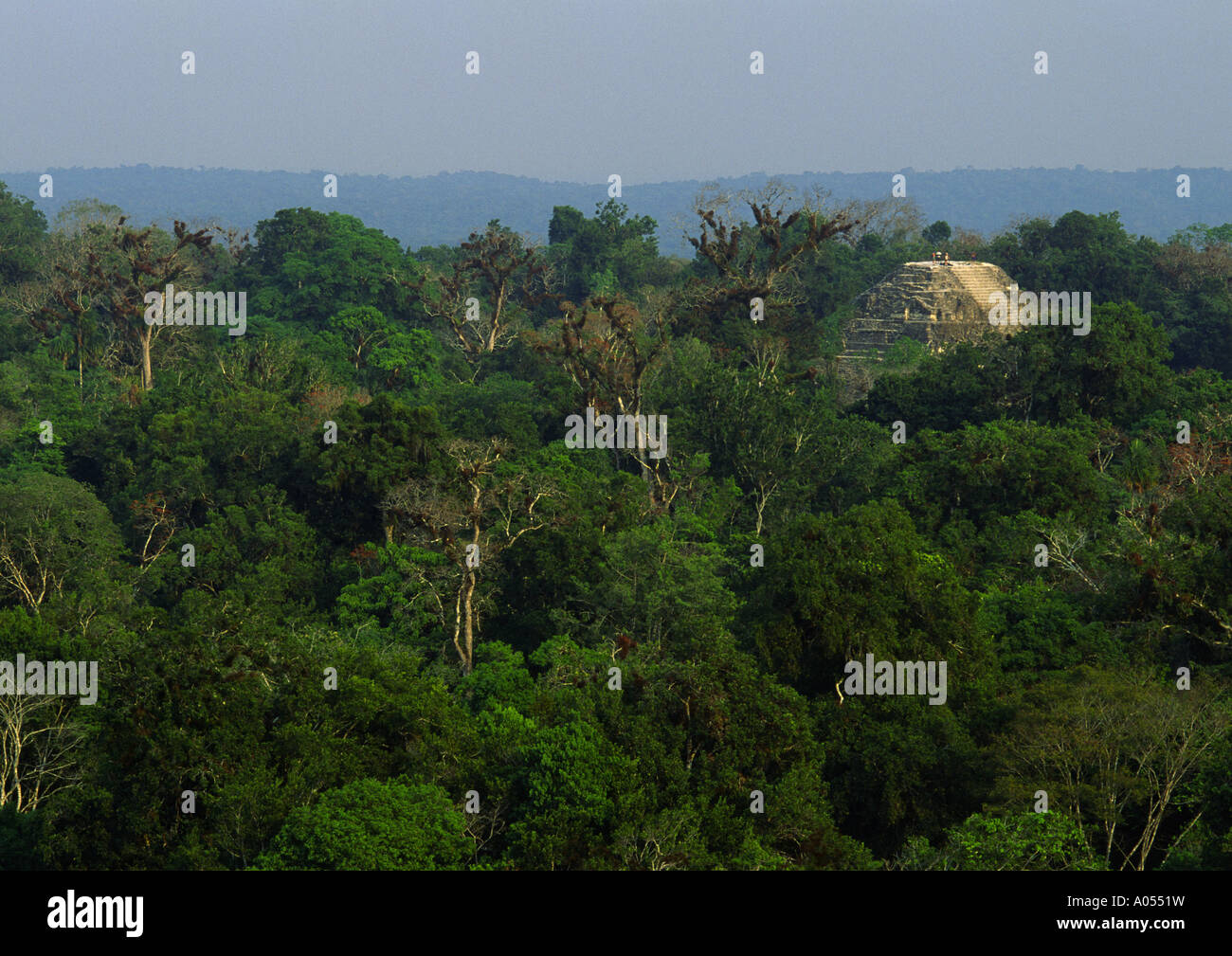 Pyramid in El Mundo Perdido, Tikal, El Petén, Guatemala Stock Photo - Alamy