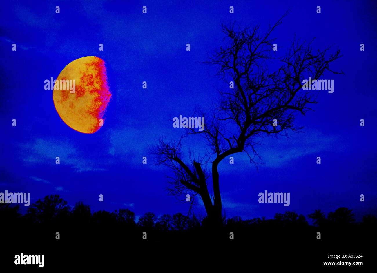 night full moon tree silhouette eerie blue withered tree leafless Stock ...