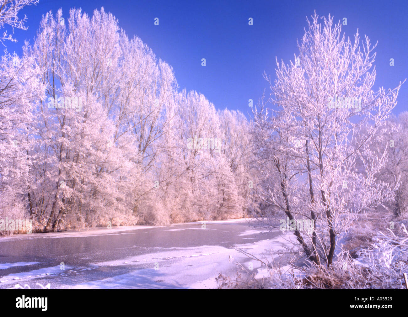 Bava High Resolution Stock Photography and Images - Alamy