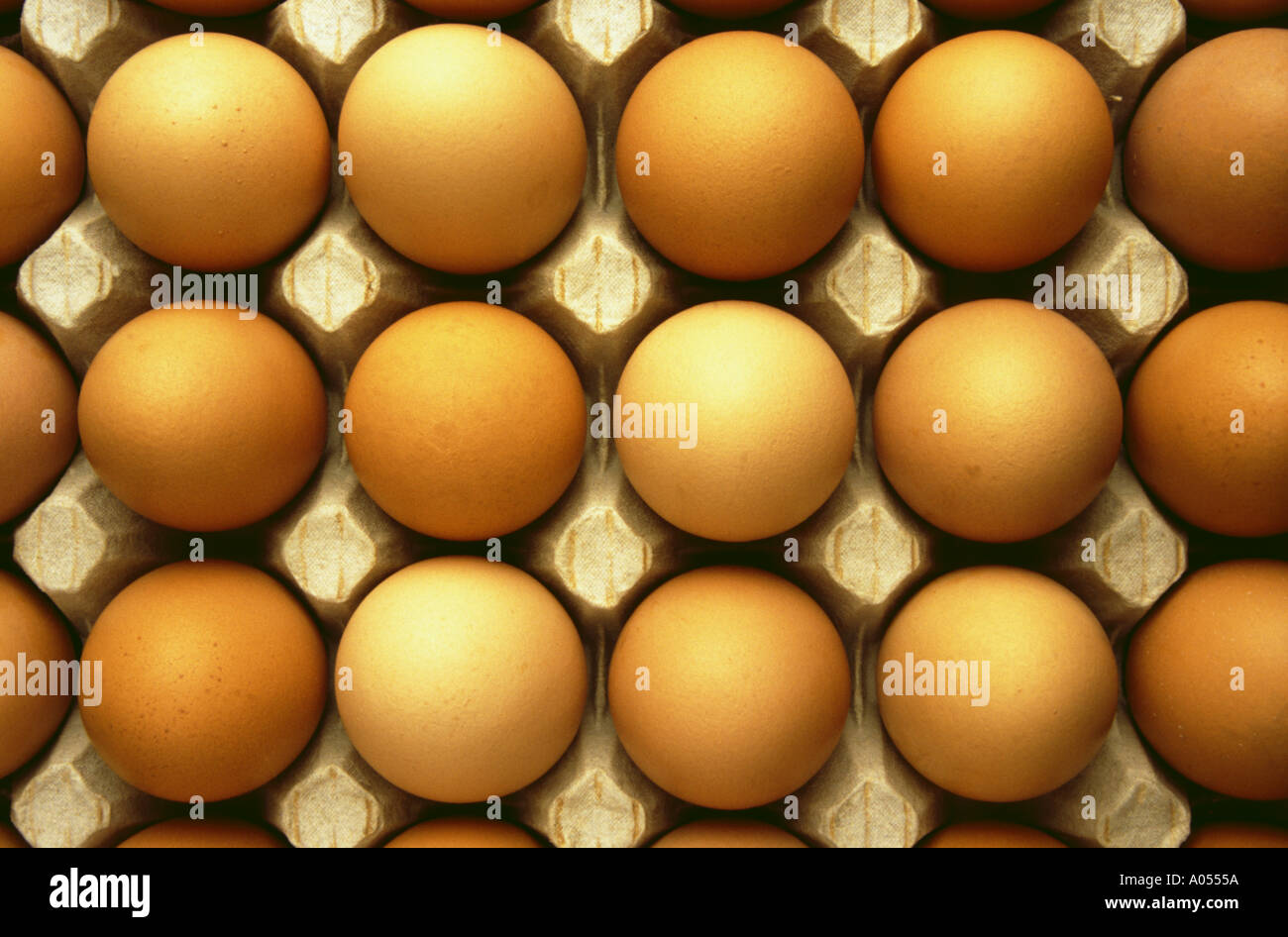 Hen s hi-res stock photography and images - Alamy