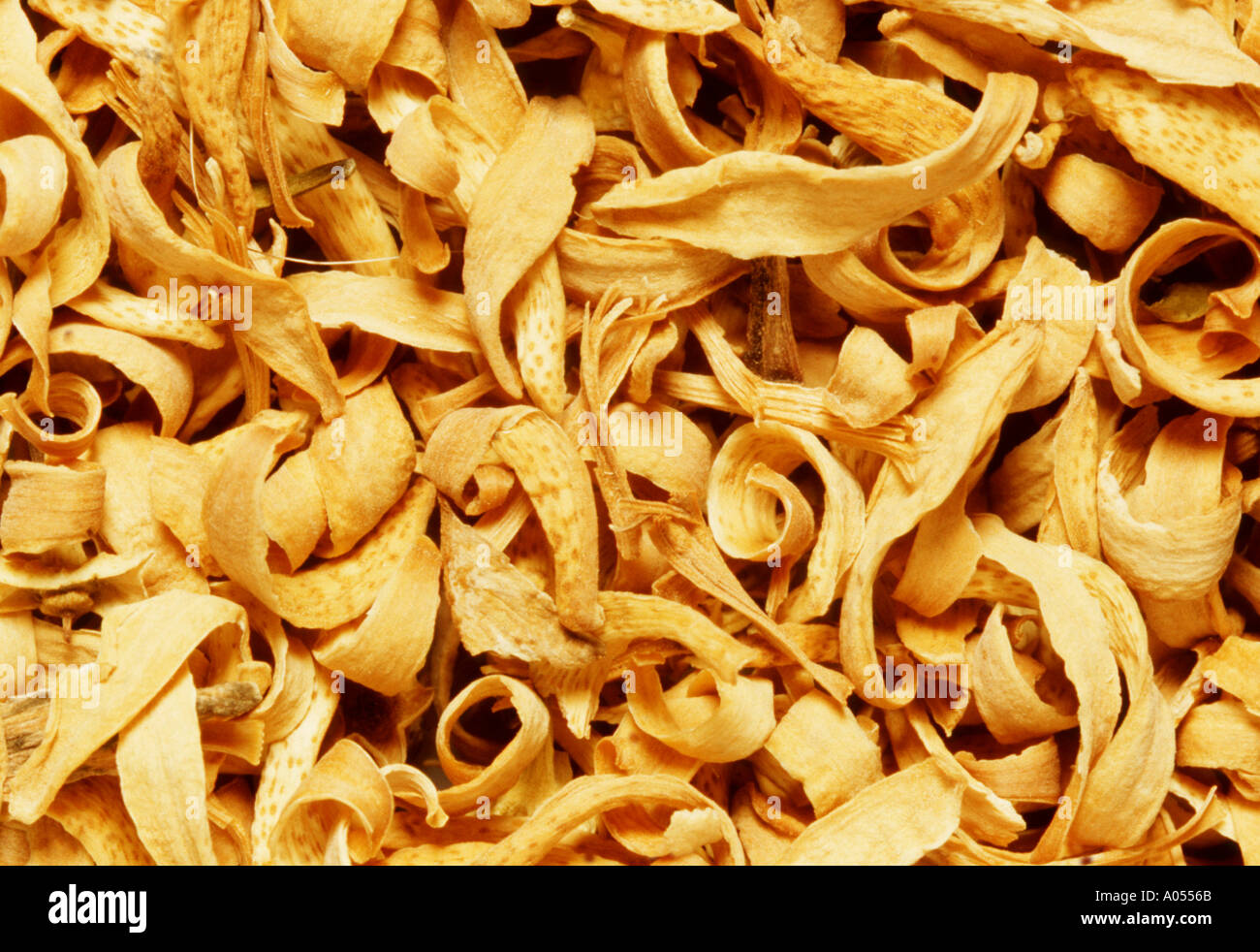 orangetree blossoms orange aromatic tea dry medicinal plant Stock Photo ...