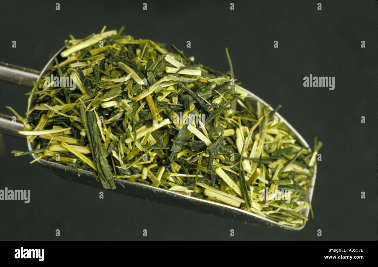 Tea green tea from Japan Kukicha tea Stock Photo - Alamy