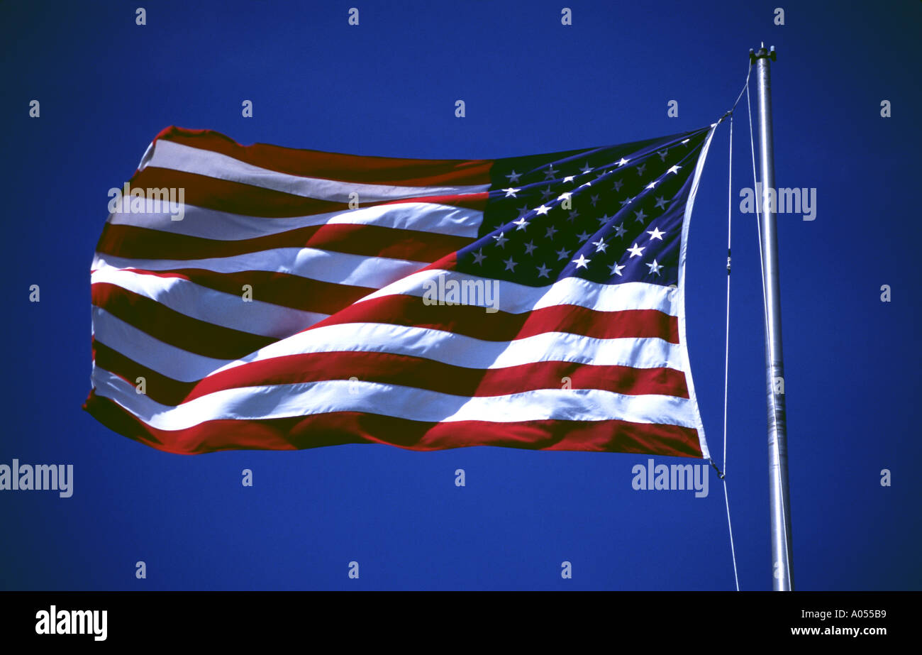 Flag of the USA symbol nation emblem insignia identity national pride ...