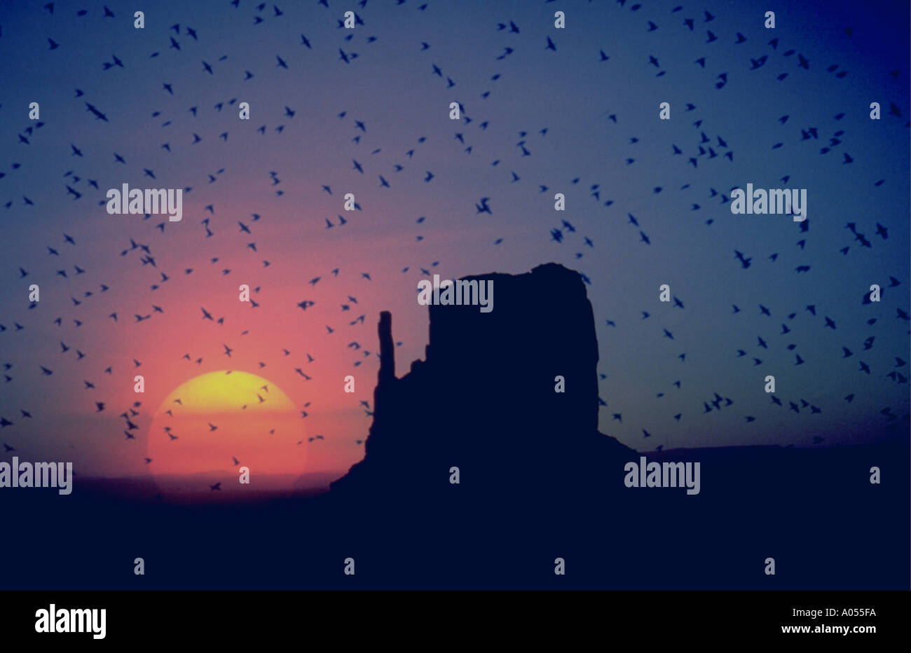 usa monument valley sundown birds monolith rock wonder of nature ...