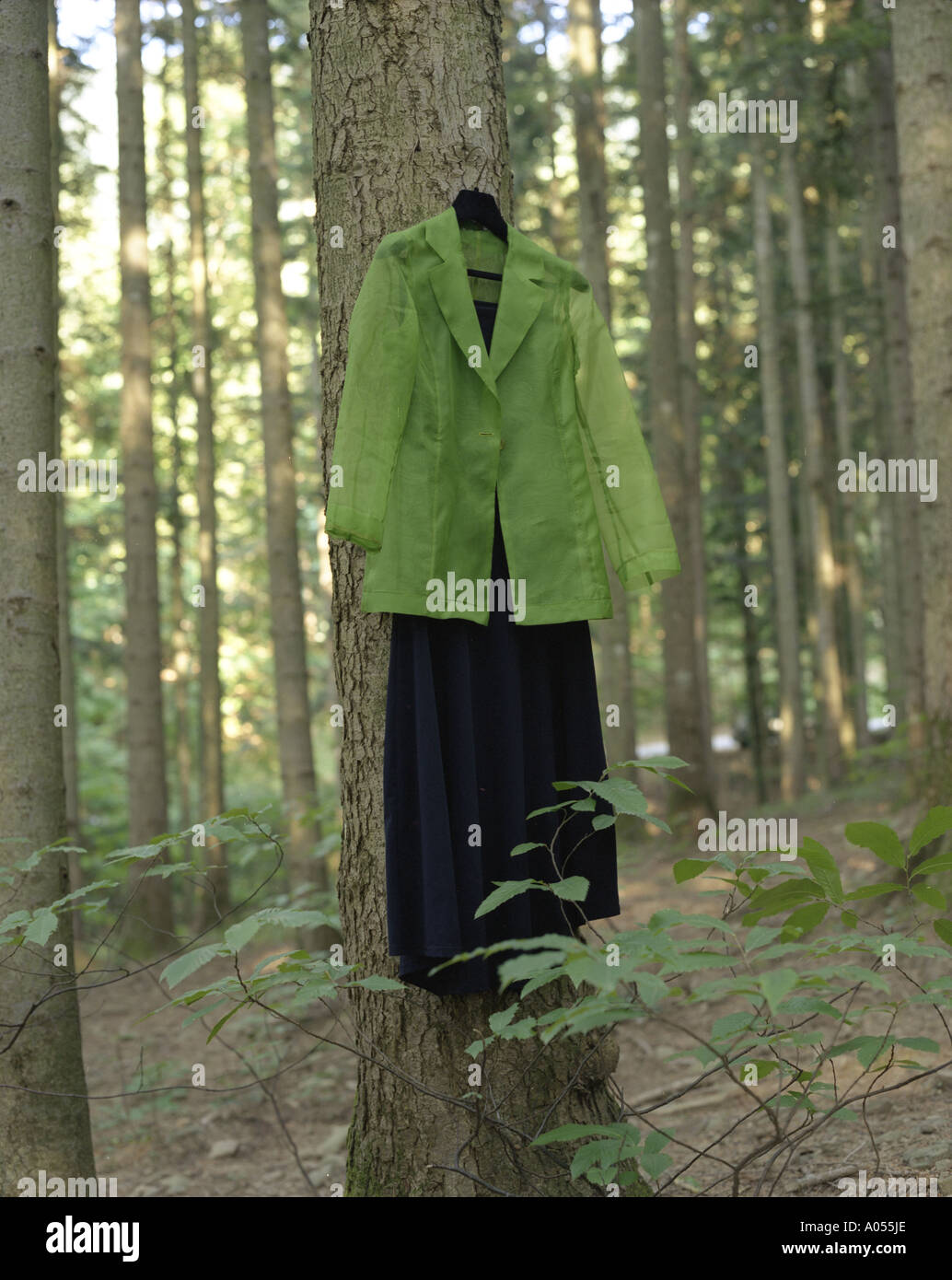 feminine cloths hanged on a tree in the bush Stock Photo - Alamy