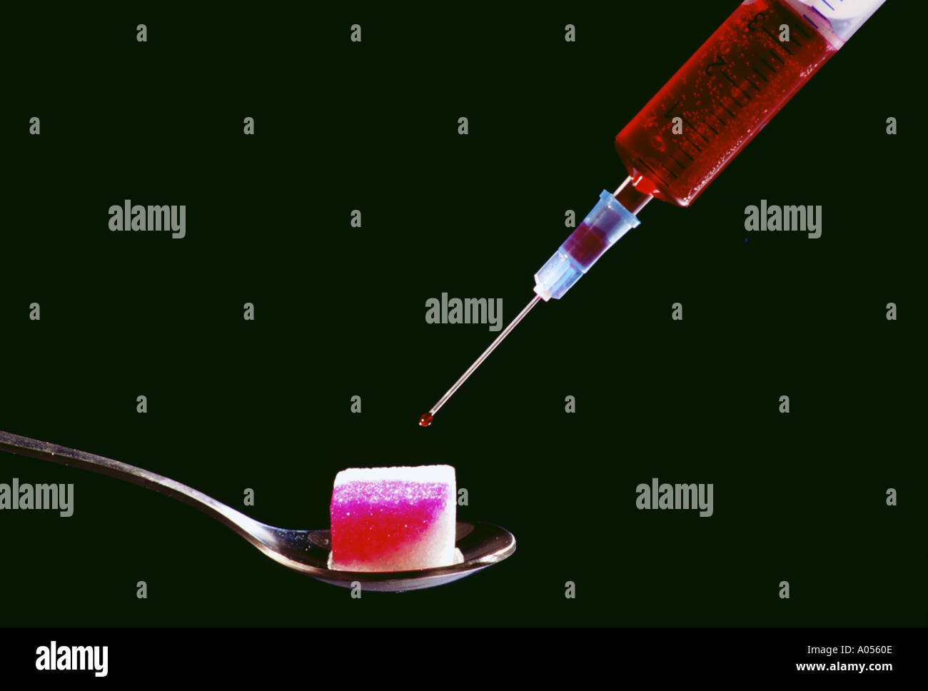 vaccination medicine injection and a cube of sugar Stock Photo - Alamy