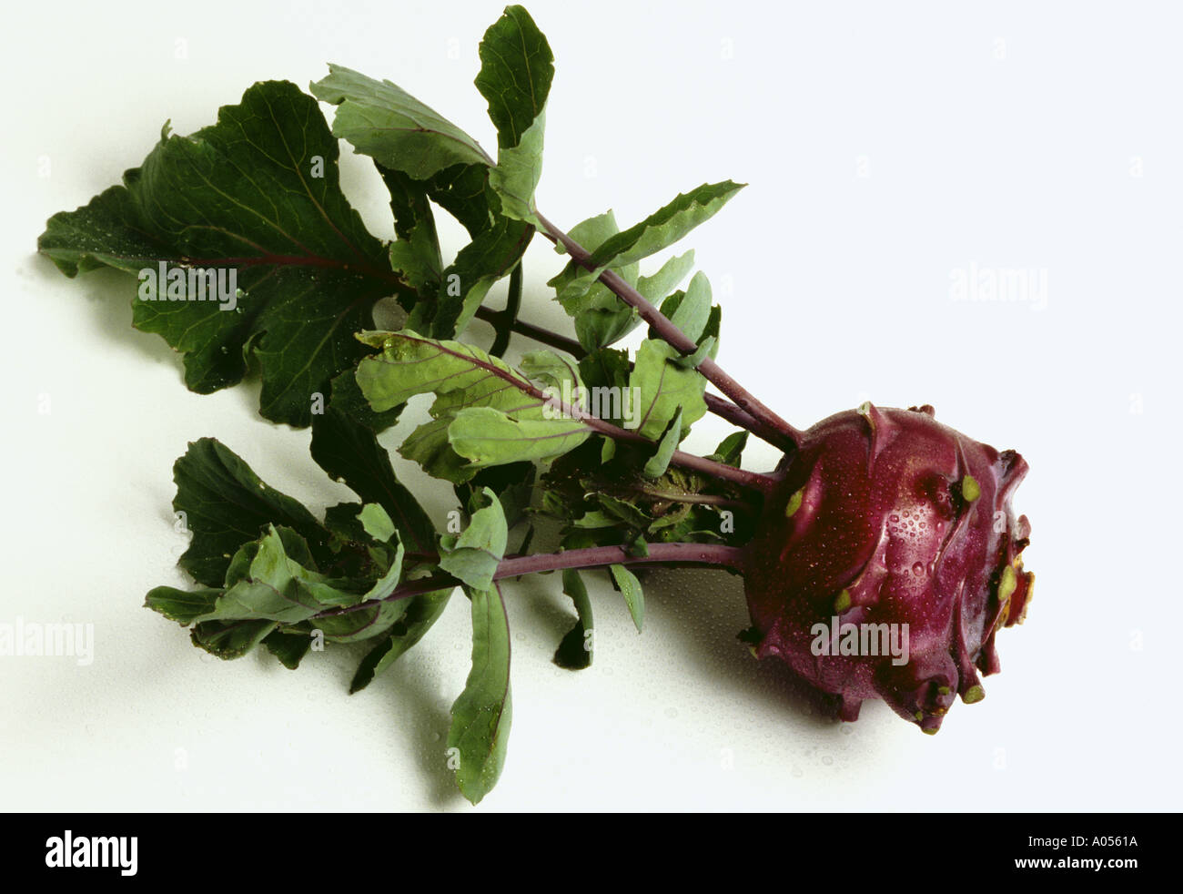 food vegetable kohlrabi Stock Photo - Alamy