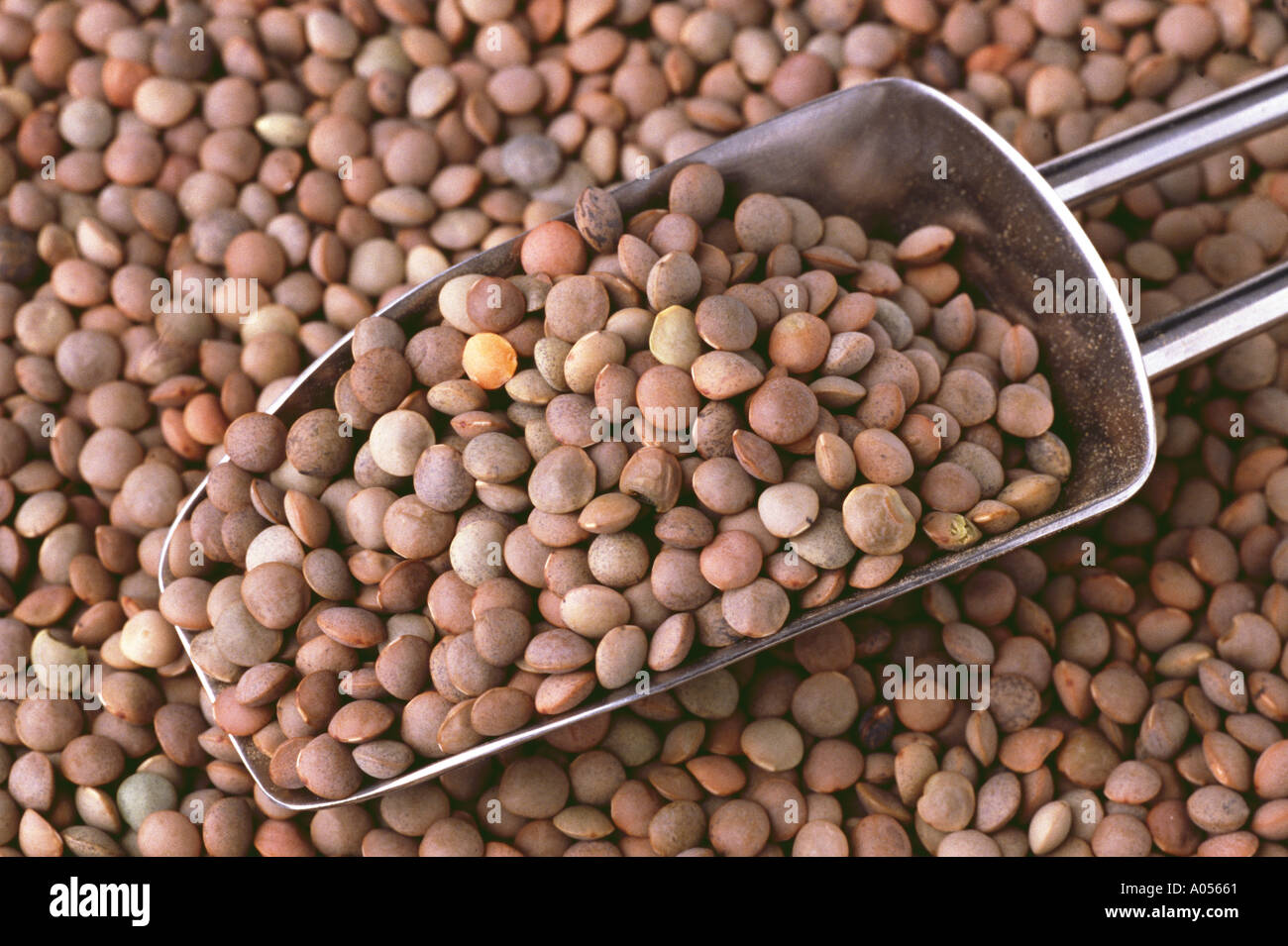 Food legume lentils Stock Photo - Alamy