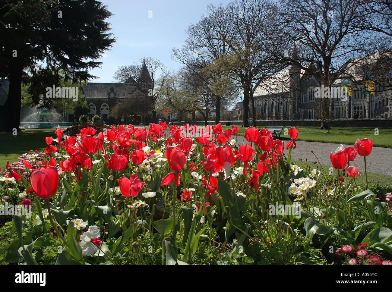 The Botanic Gardens in Christchurch, New Zealand, in the spring Stock ...