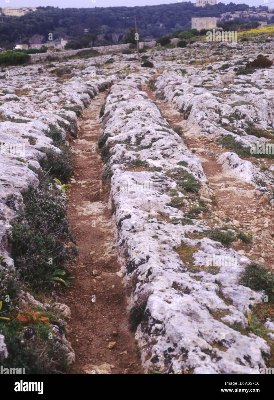 Dingli cart ruts hi-res stock photography and images - Alamy