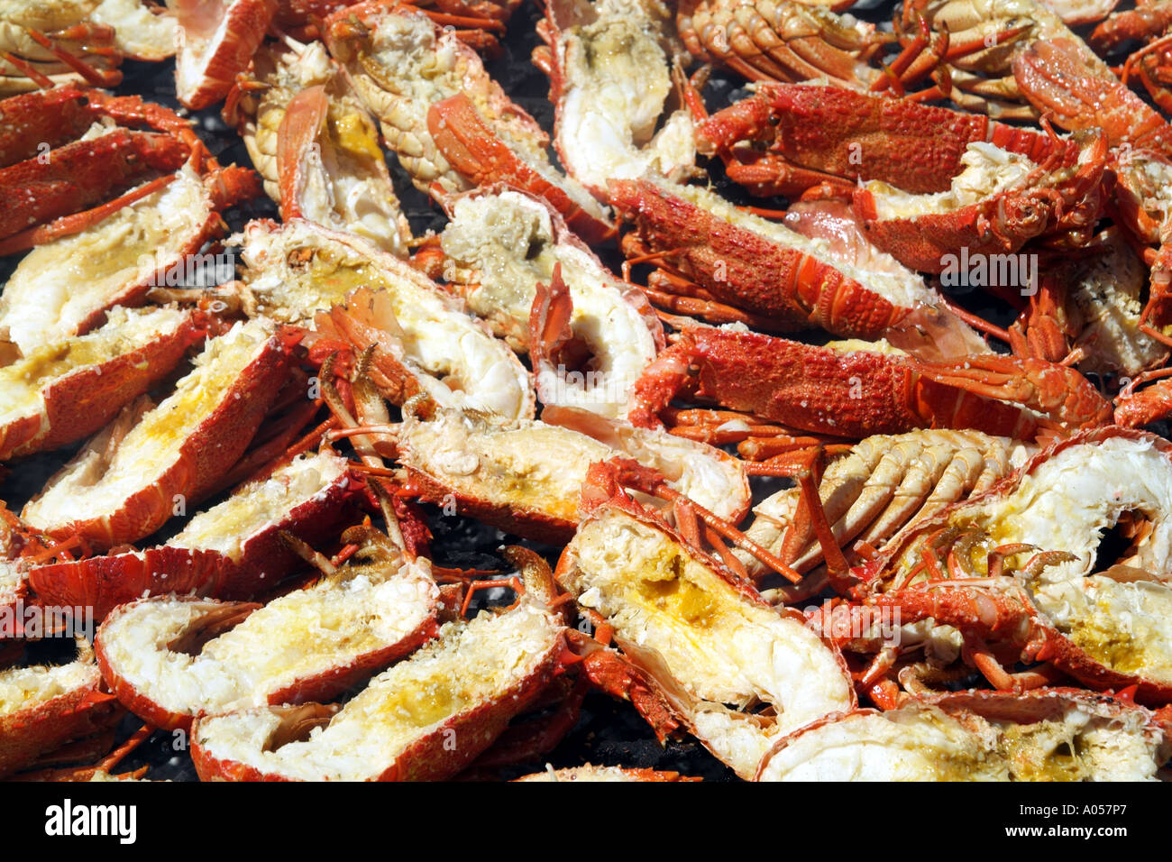 Community lunch for climate hi-res stock photography and images - Alamy
