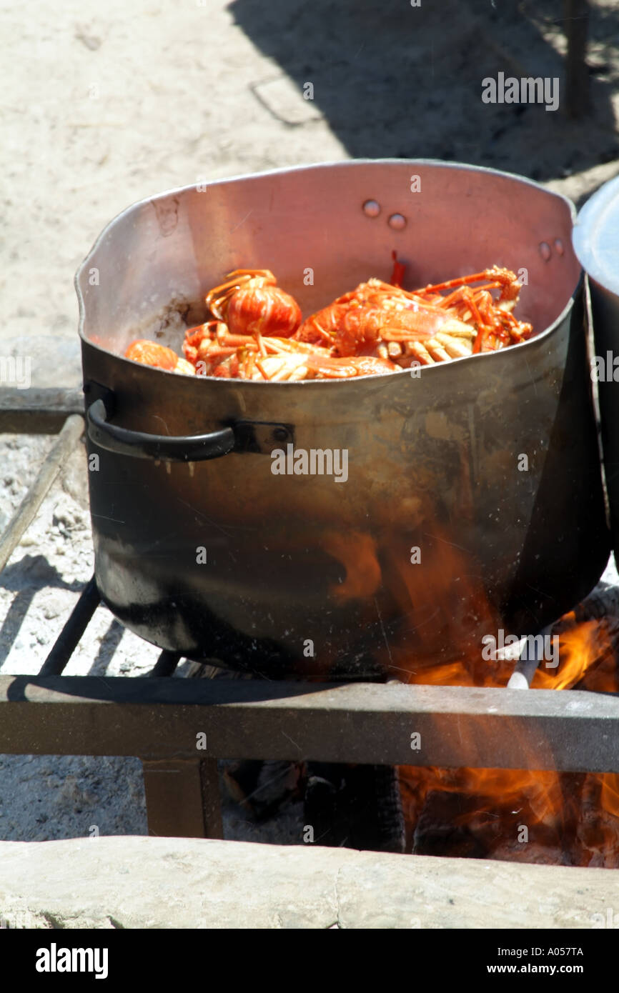 Fire Pots South Africa at Christopher Romero blog