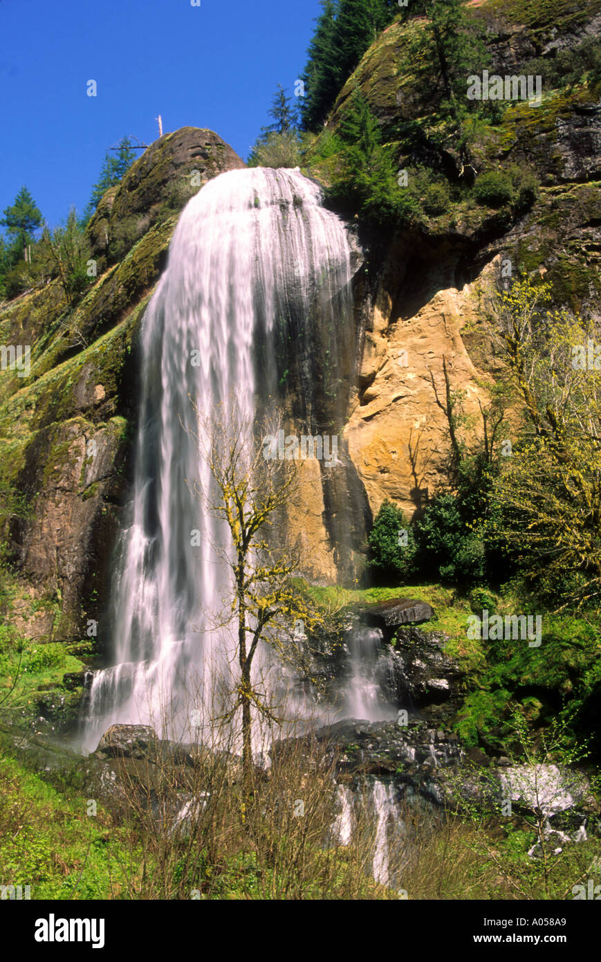 Silver falls hi-res stock photography and images - Alamy