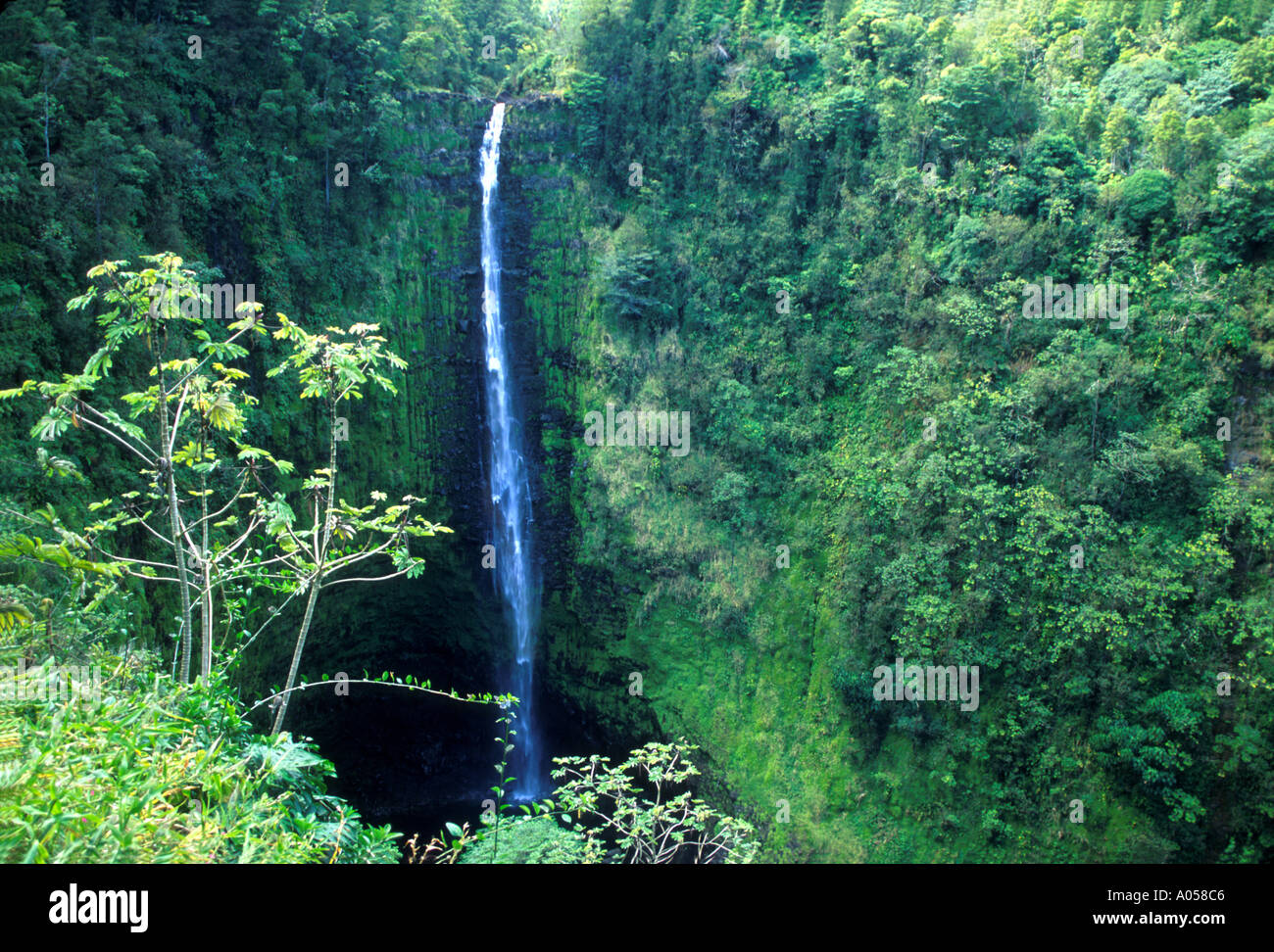 Akaka fall state park waterfall hi-res stock photography and images - Alamy