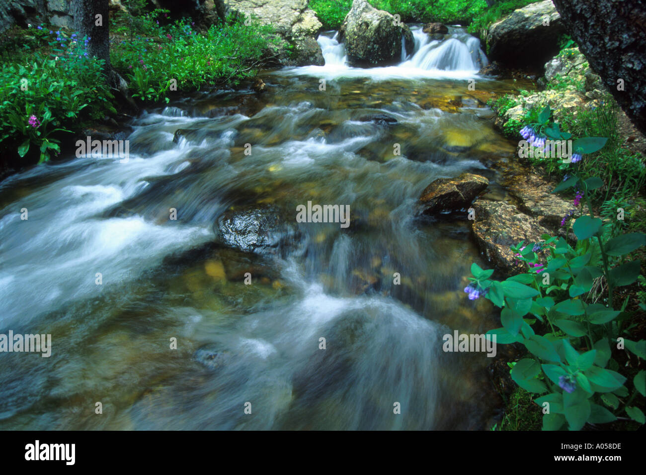 Rapids in fall hi-res stock photography and images - Alamy
