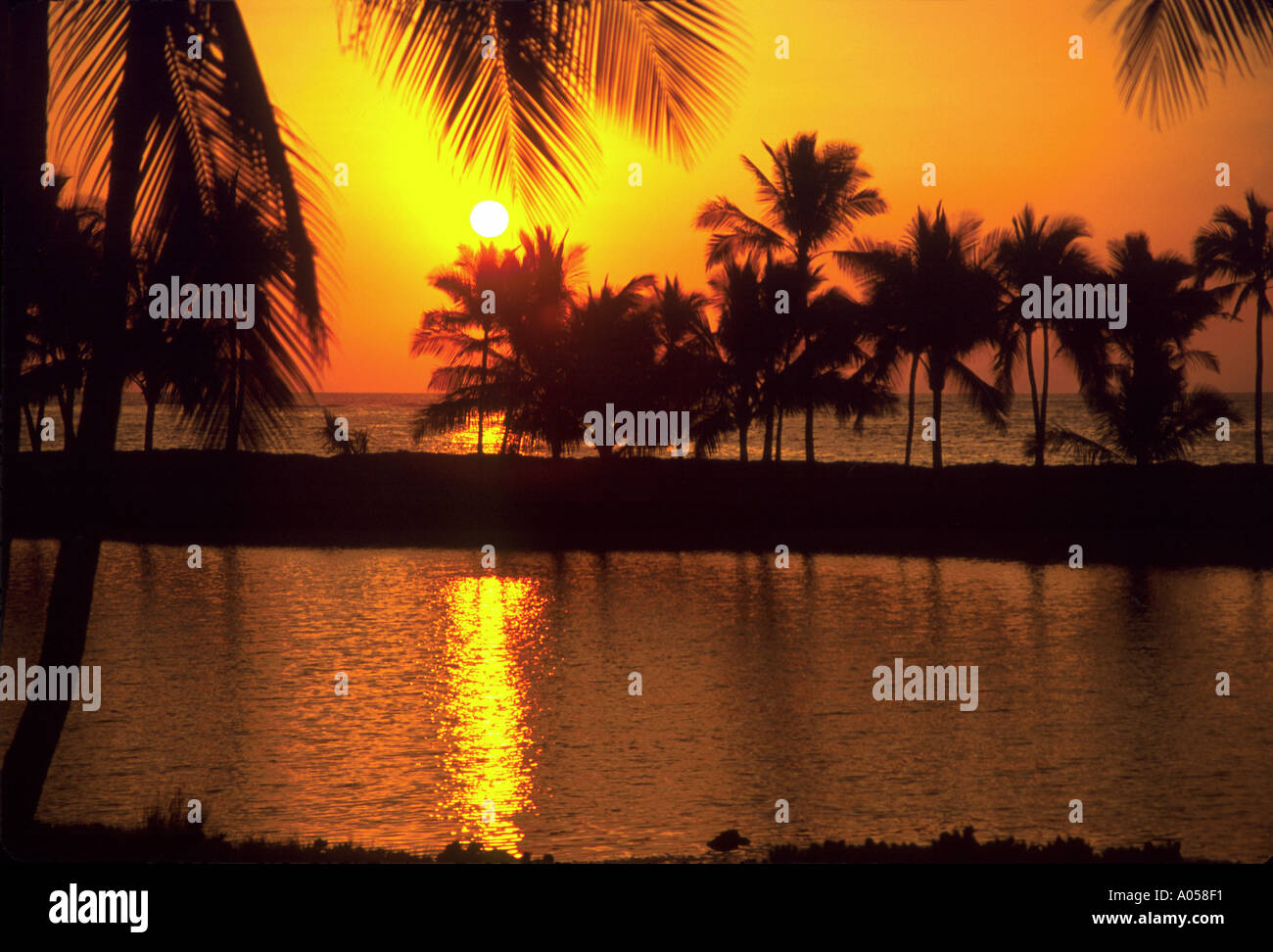 Omale hi-res stock photography and images - Alamy