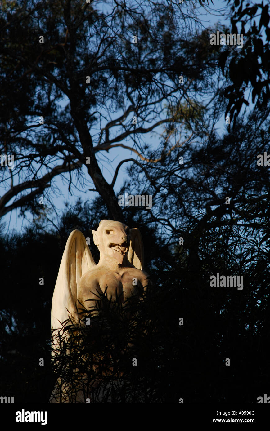 Australian gargoyle hi-res stock photography and images - Alamy