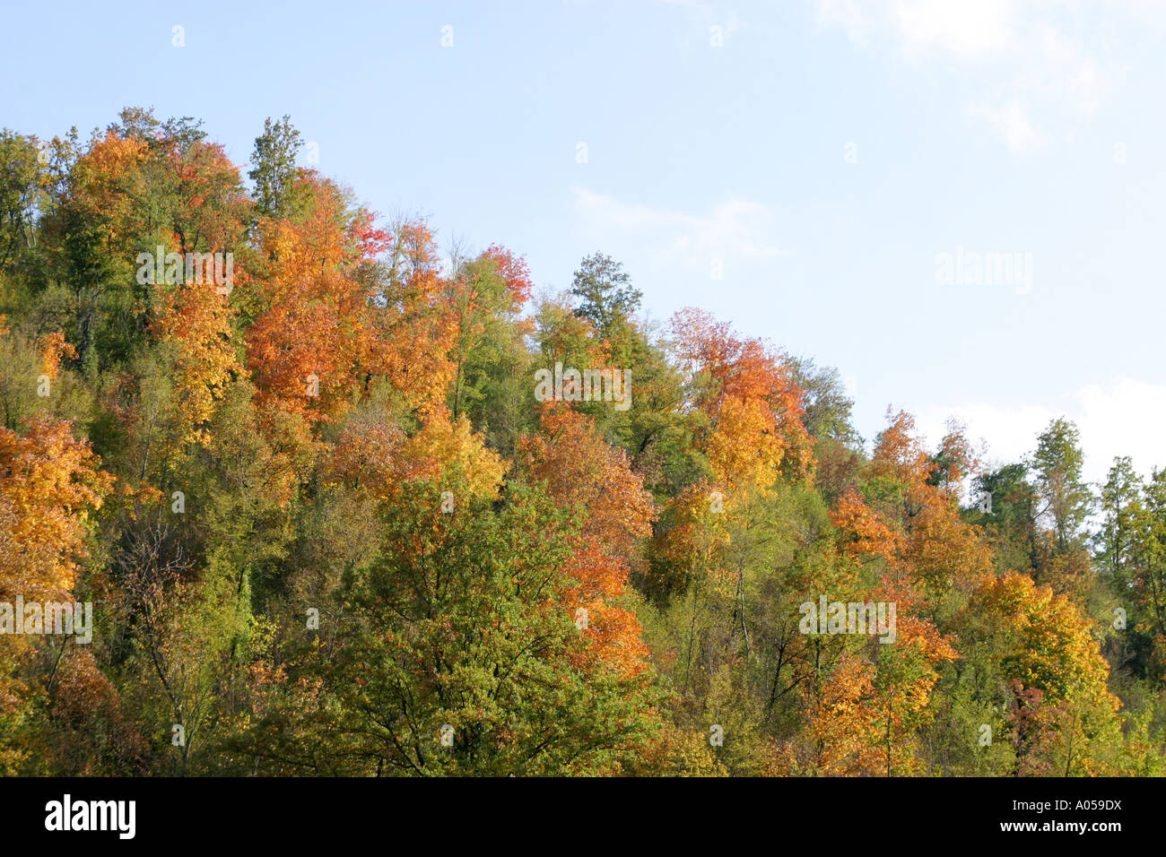 Autumn / Fall foliage colors in the landscape of the Sibillini National ...