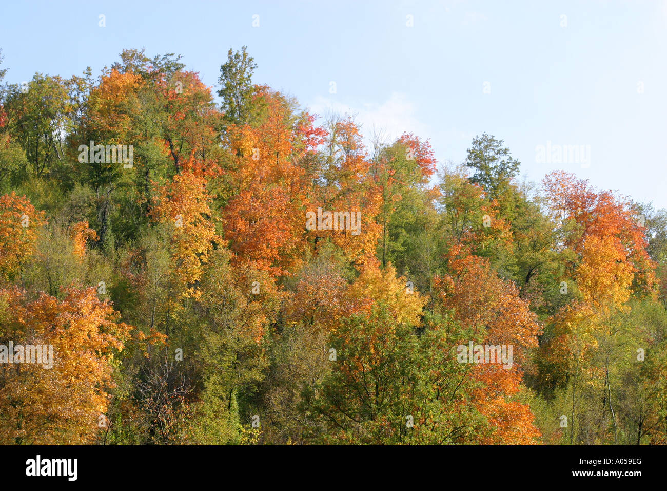 Autumn / Fall foliage colors in the landscape of the Sibillini National ...