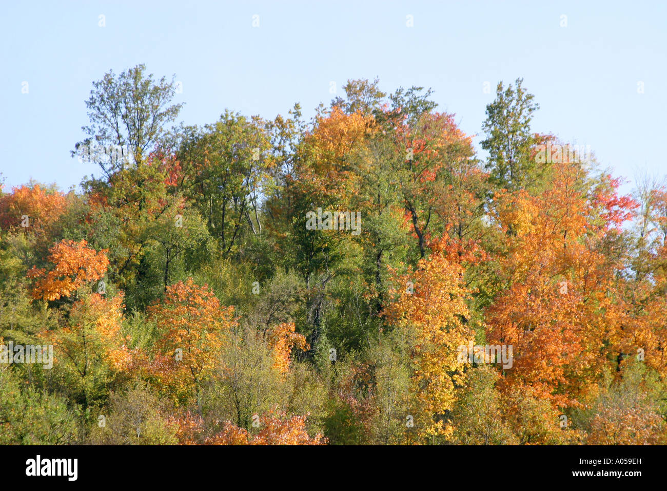 Autumn / Fall foliage colors in the landscape of the Sibillini National ...