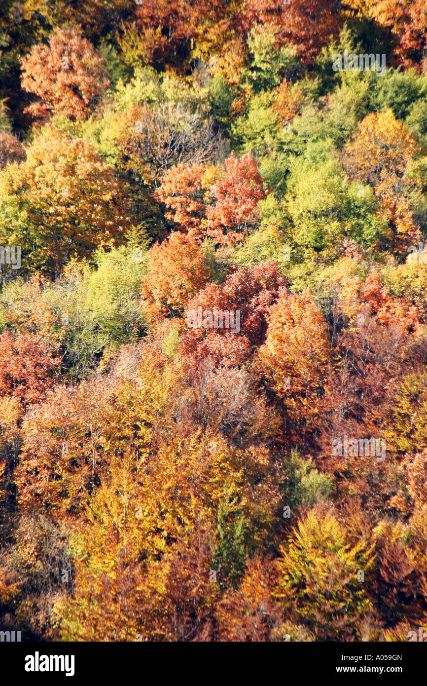 Autumn / Fall foliage colors in the landscape of the Sibillini National ...