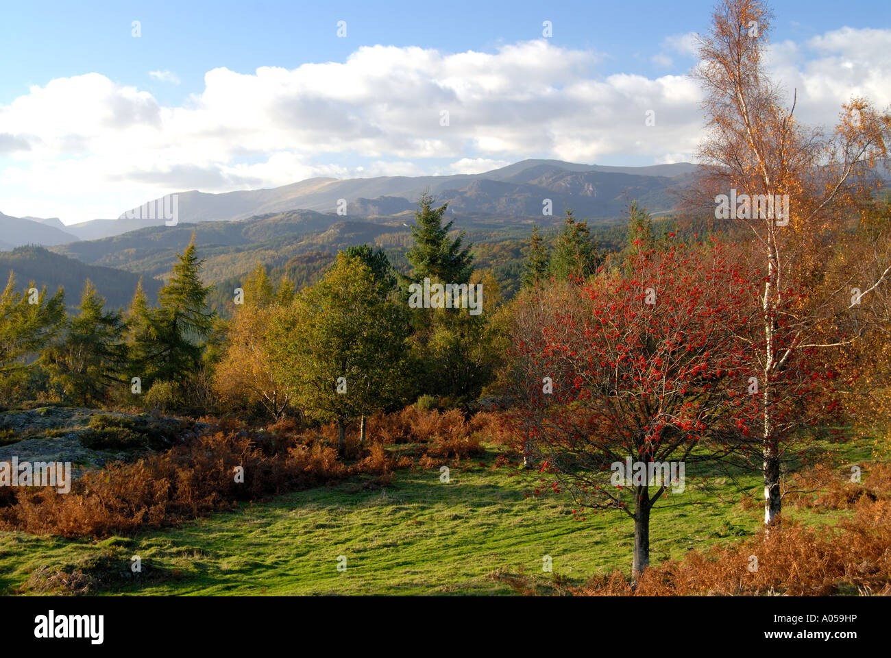 Autumn Carneddau Mountain Range From Betws y Coed Snowdonia North West ...