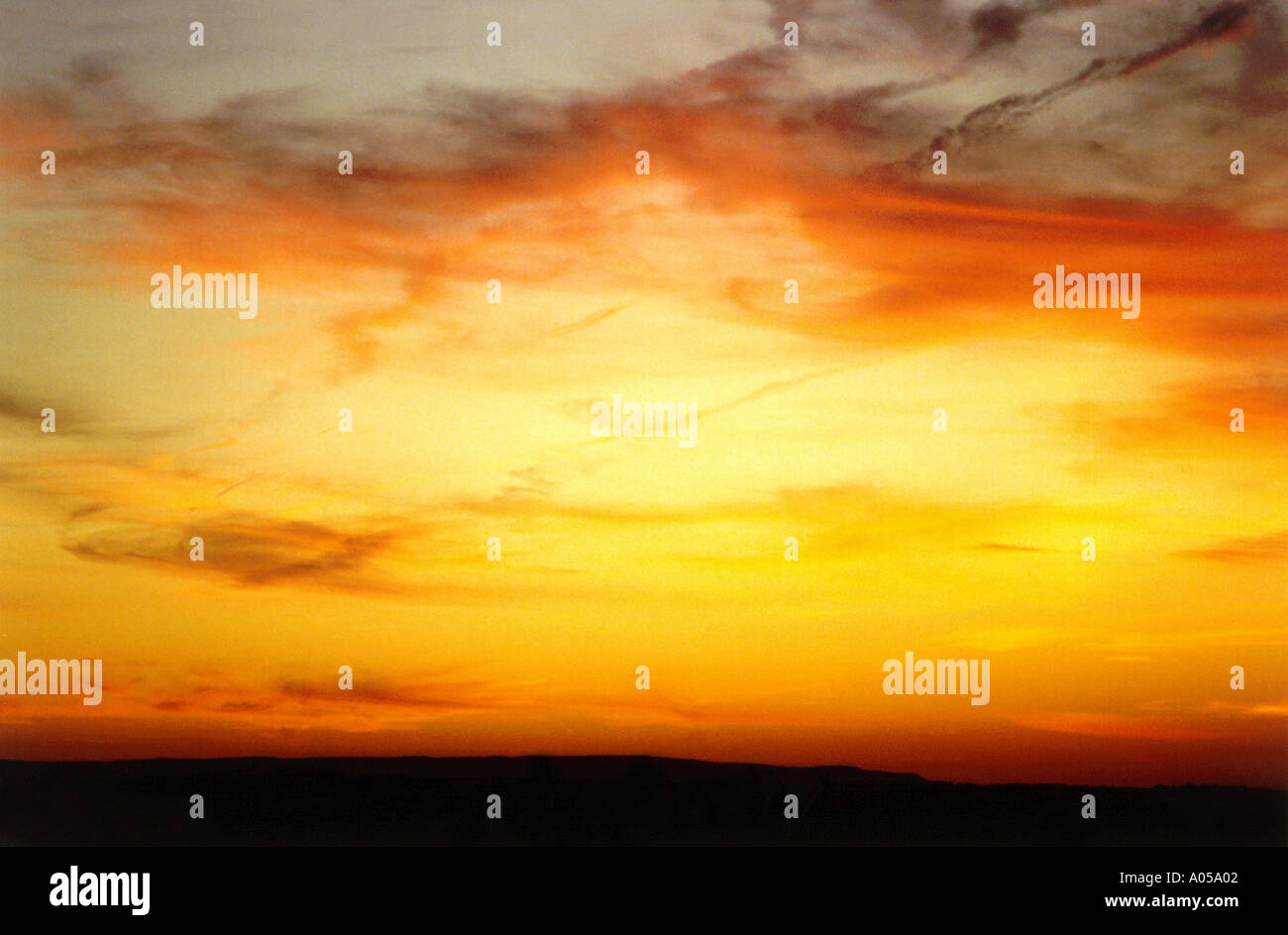 Environmentals hi-res stock photography and images - Alamy