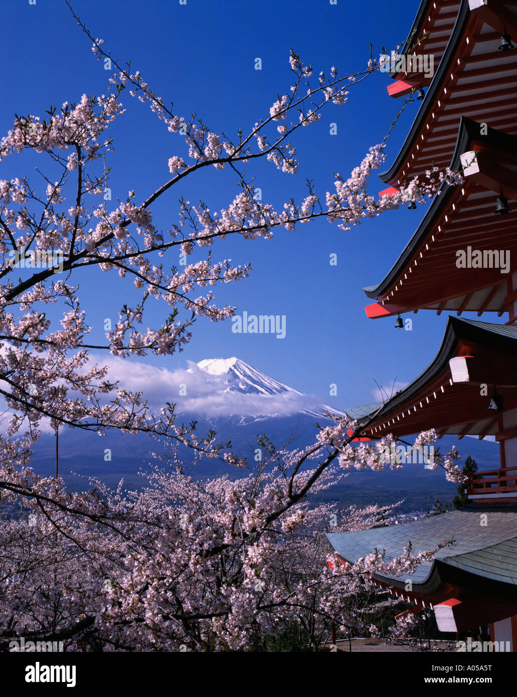 Yamanashi, Mount Fuji & Churei Tower Stock Photo - Alamy