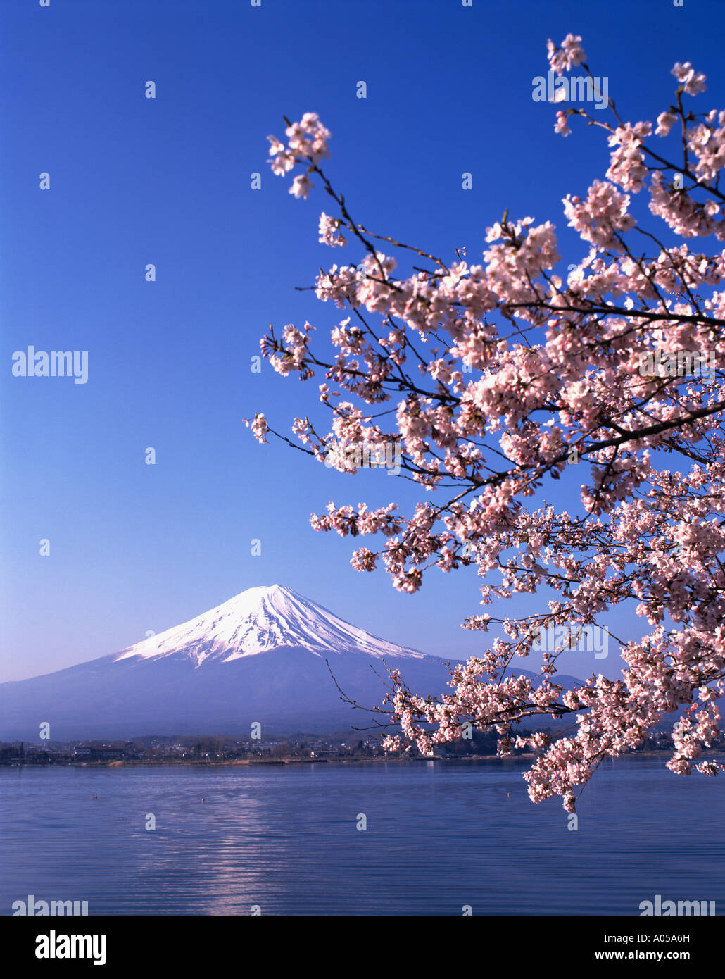 Vertical view mount fuji hi-res stock photography and images - Alamy
