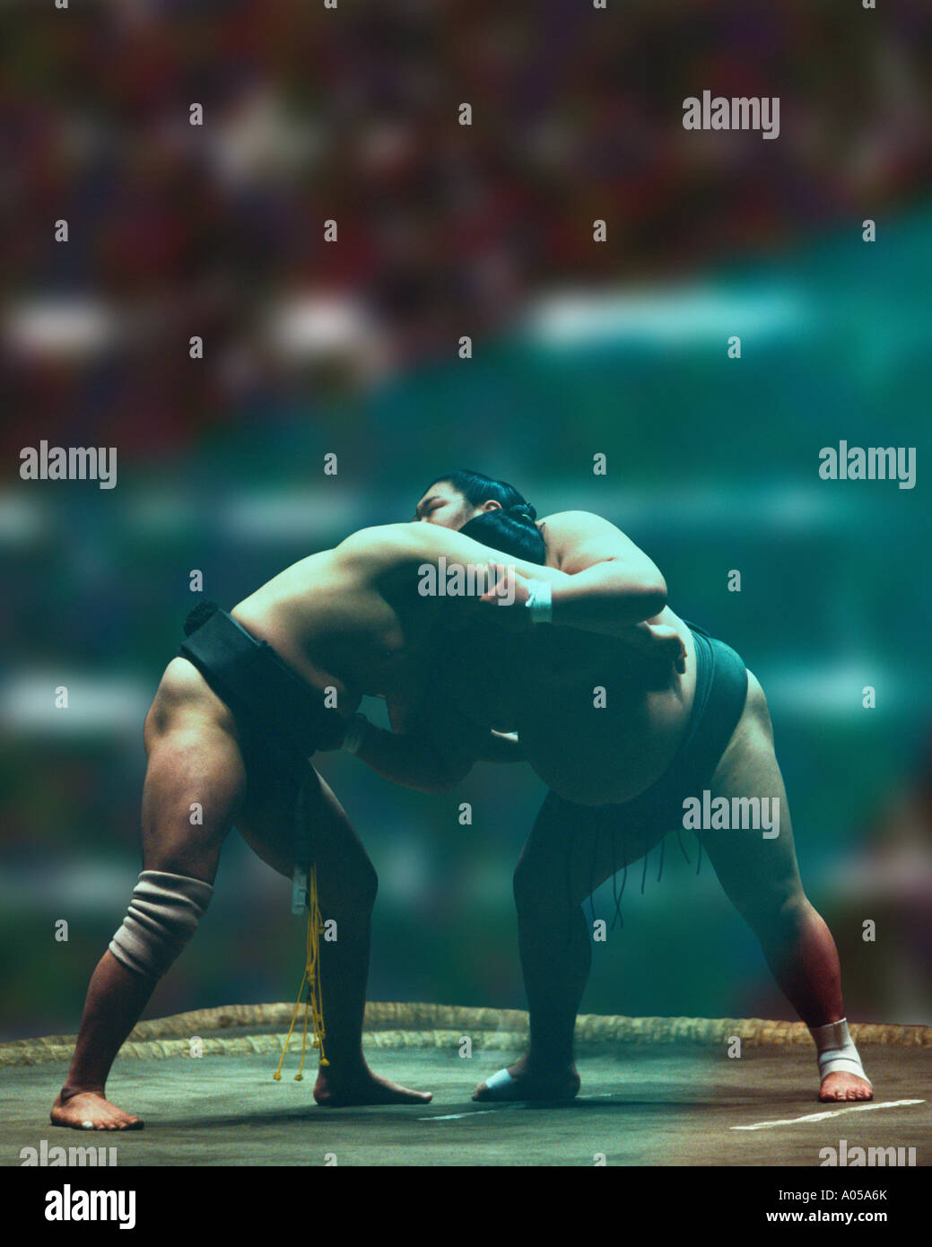 People, Sumo Wrestling Stock Photo - Alamy