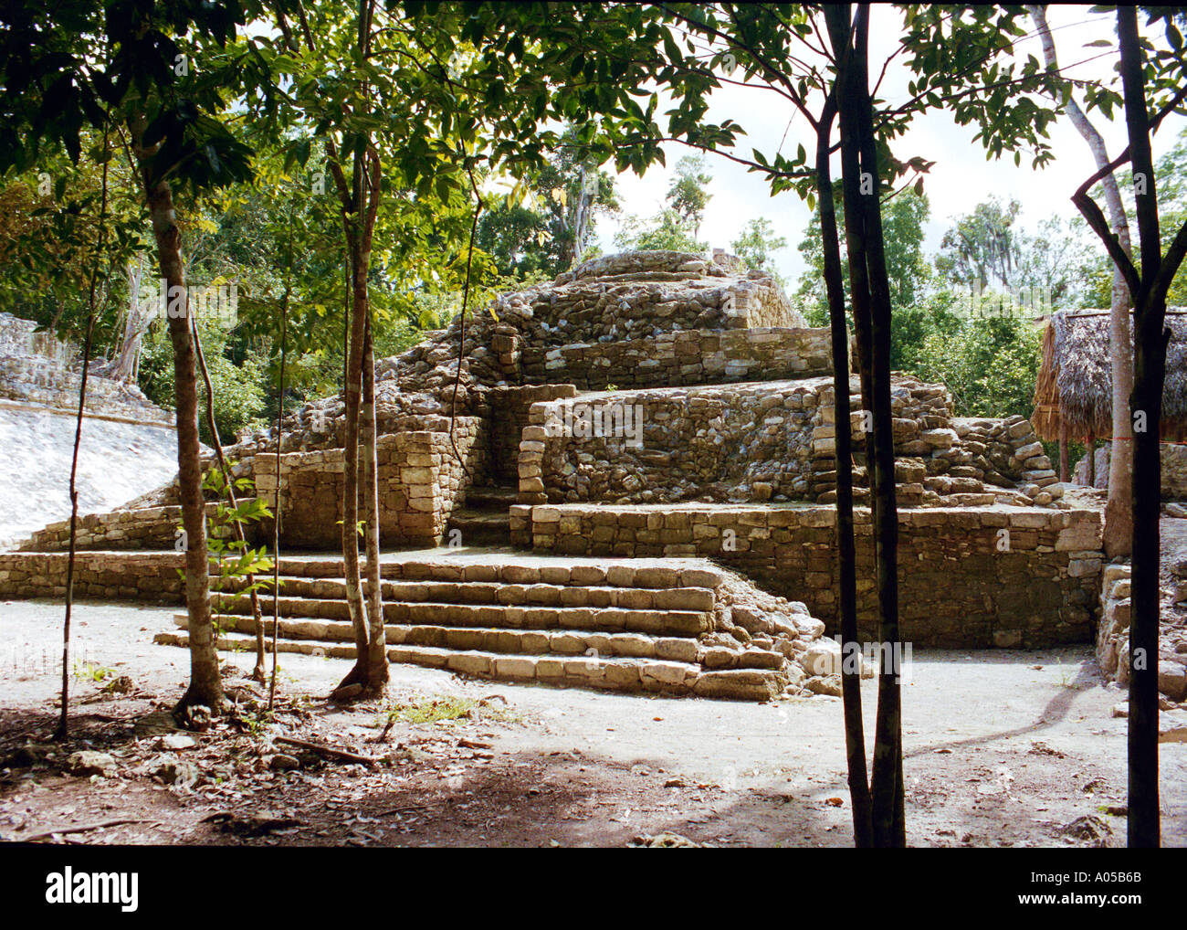 Mayan ruins at Coba Quintana Roo Mexico Stock Photo - Alamy