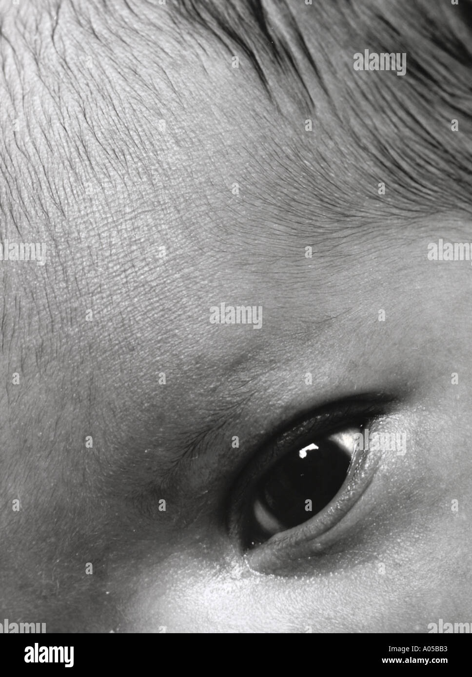 close up baby eye portrait Stock Photo - Alamy