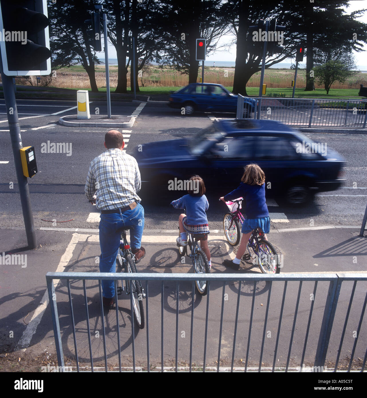 Father and Daughters Cycling Dedicated Cycle Crossing on Busy Road ...