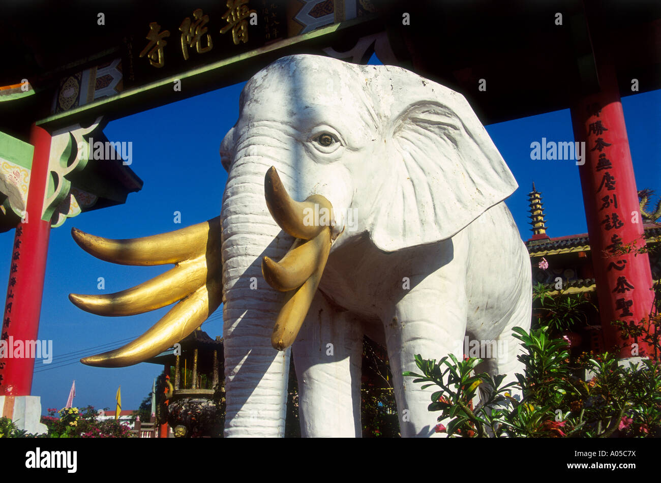 Sabah borneo chinese temple hi-res stock photography and images - Alamy