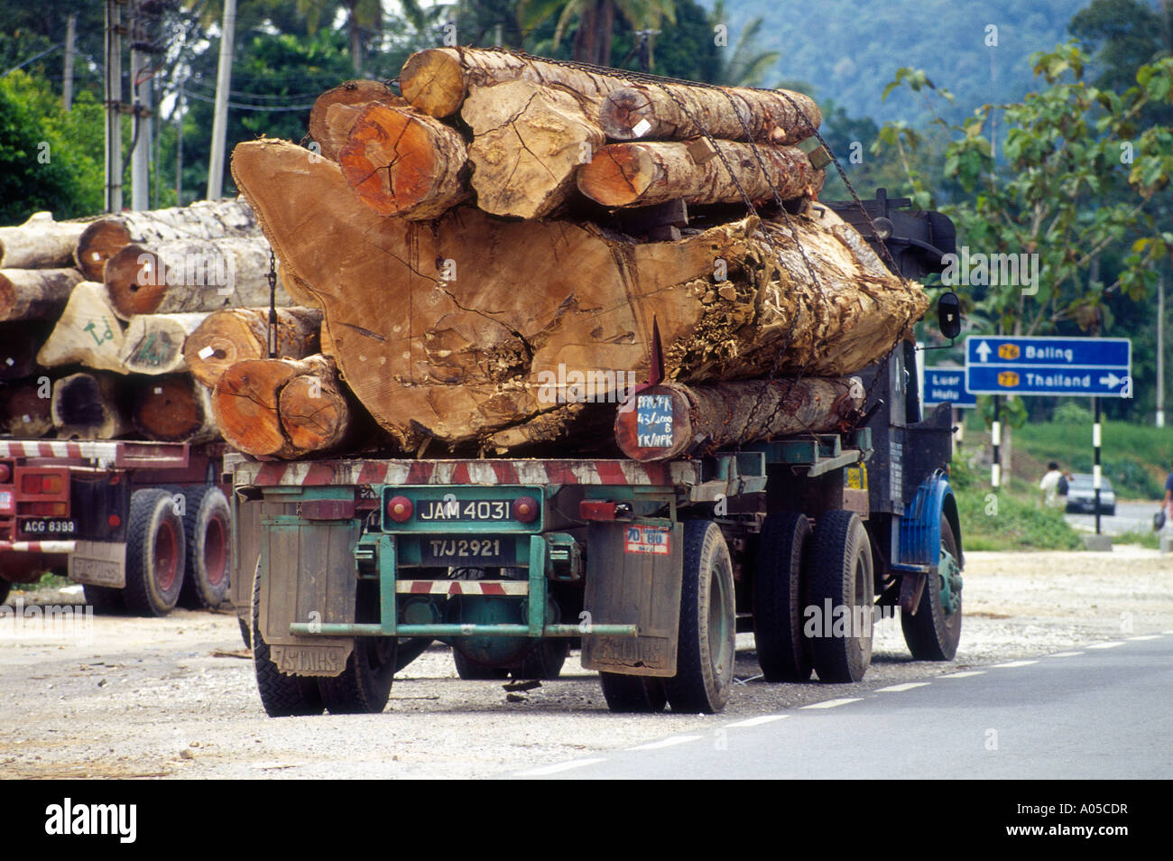 Timber transportation hi-res stock photography and images - Alamy