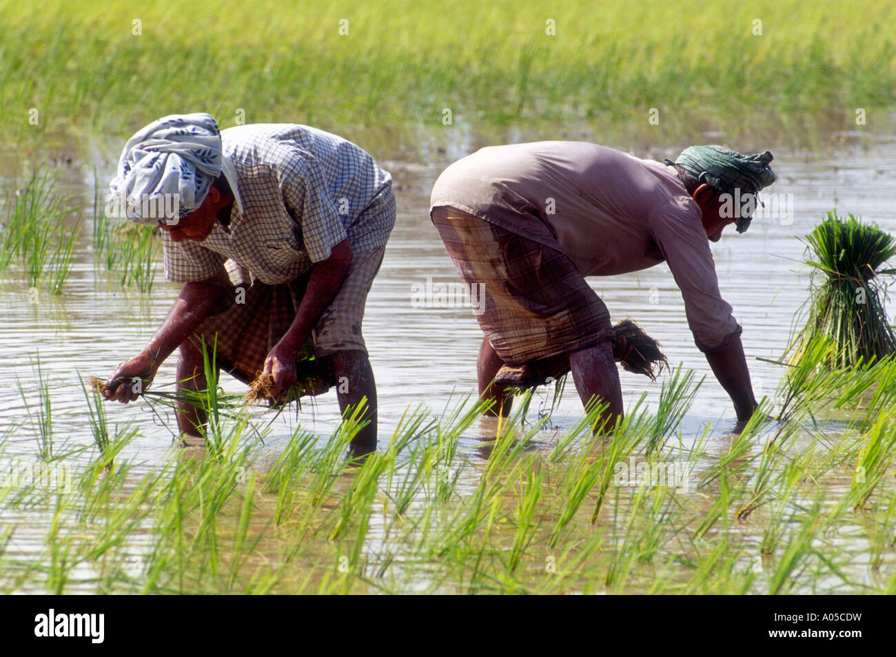 Malaysia kelantan state kota bharu hi-res stock photography and images ...