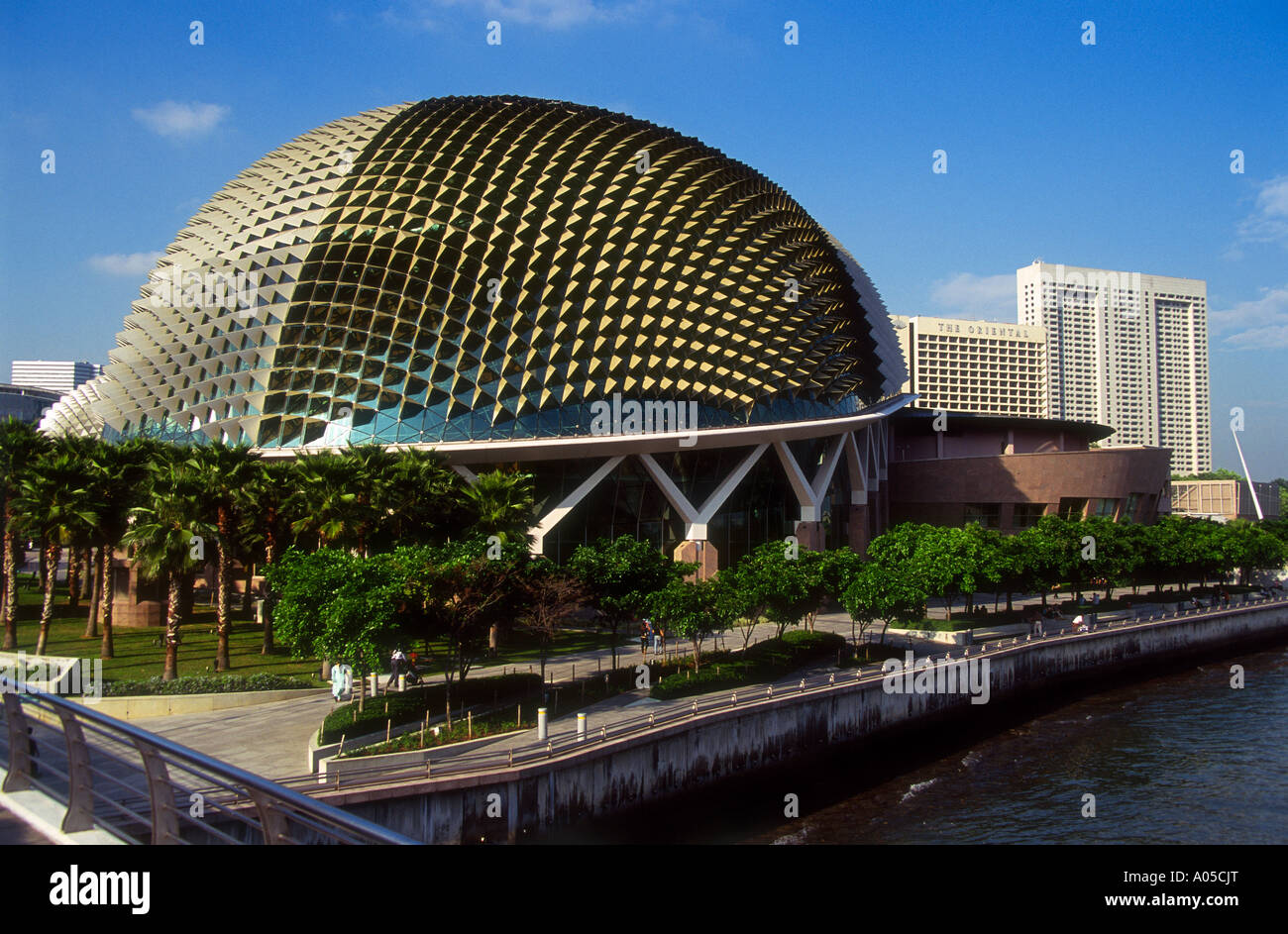 Esplanade Singapore Drawings