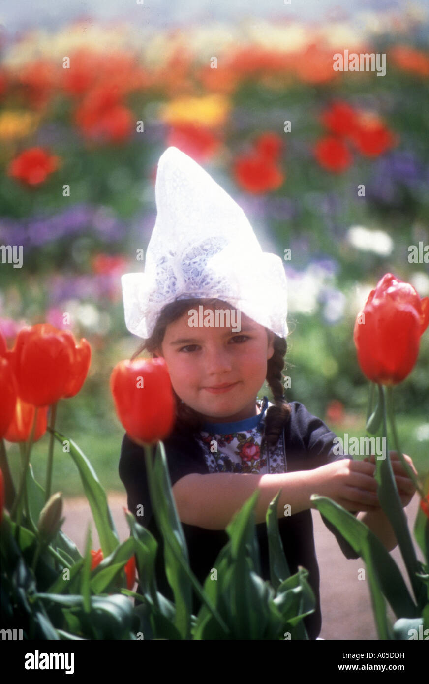 Dutch girl hi-res stock photography and images - Alamy
