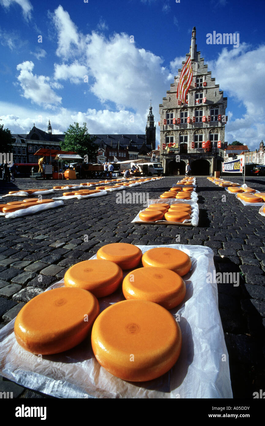 Pclp8623901 hi-res stock photography and images - Alamy