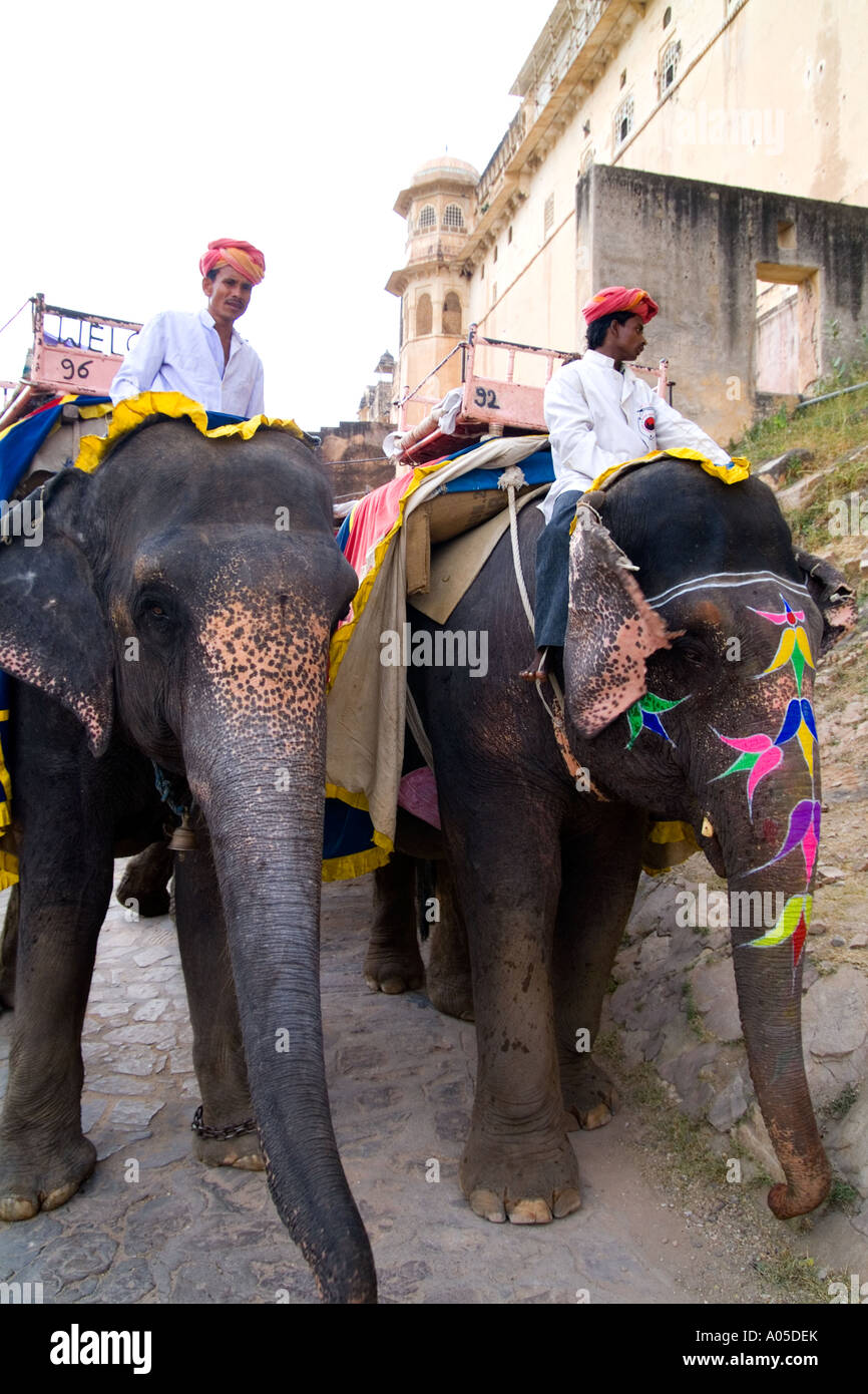 Colorful elephant rides at Amber Fort in Rajasthan Jaipur India Stock ...