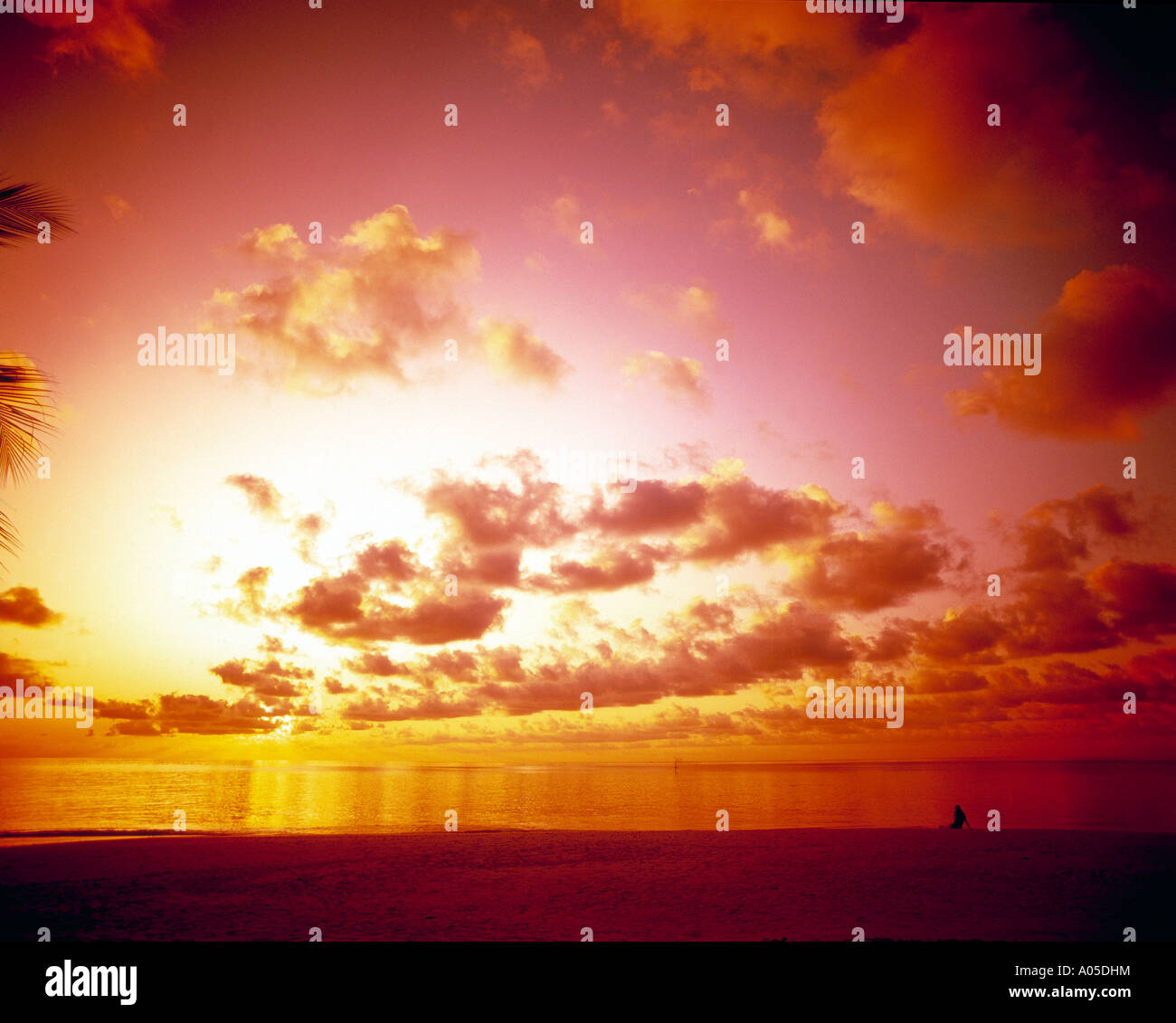 Maldives male atolls hi-res stock photography and images - Alamy