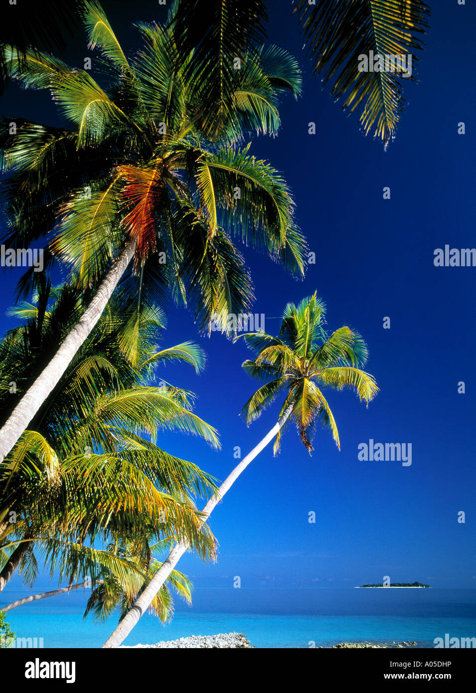 Tropical Island Scene Stock Photo - Alamy