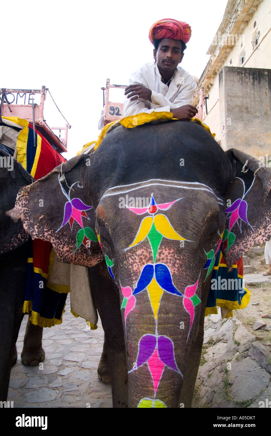 Colorful elephant rides at Amber Fort in Rajasthan Jaipur India Stock ...
