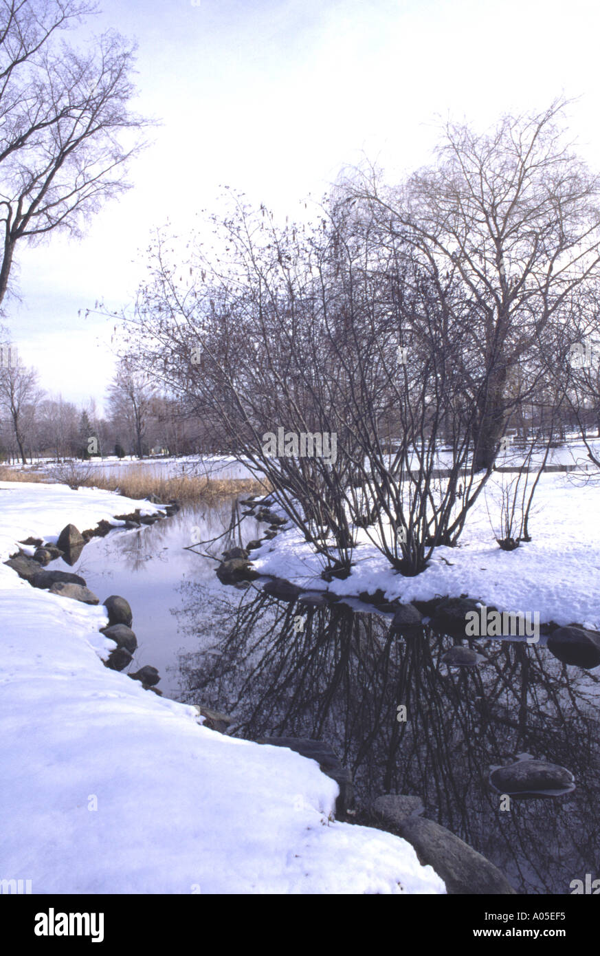 Melting snow park stream trees spring thaw 80 Stock Photo - Alamy