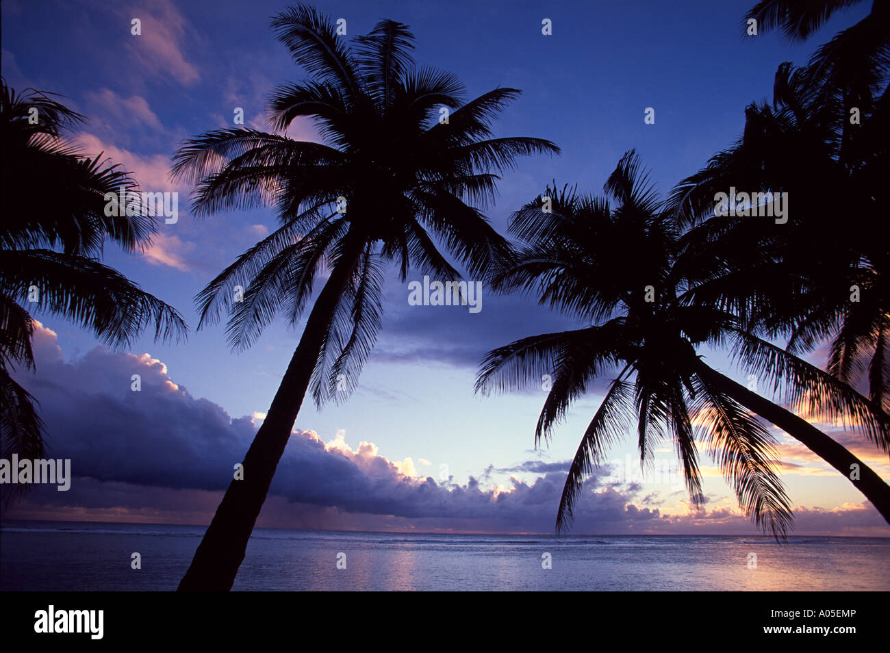 Rarotonga, Sunset With Silhouetted Palms Stock Photo - Alamy