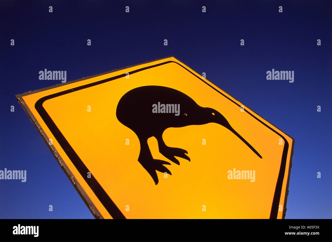 Kiwi Bird Warning Road Sign, Day Stock Photo - Alamy