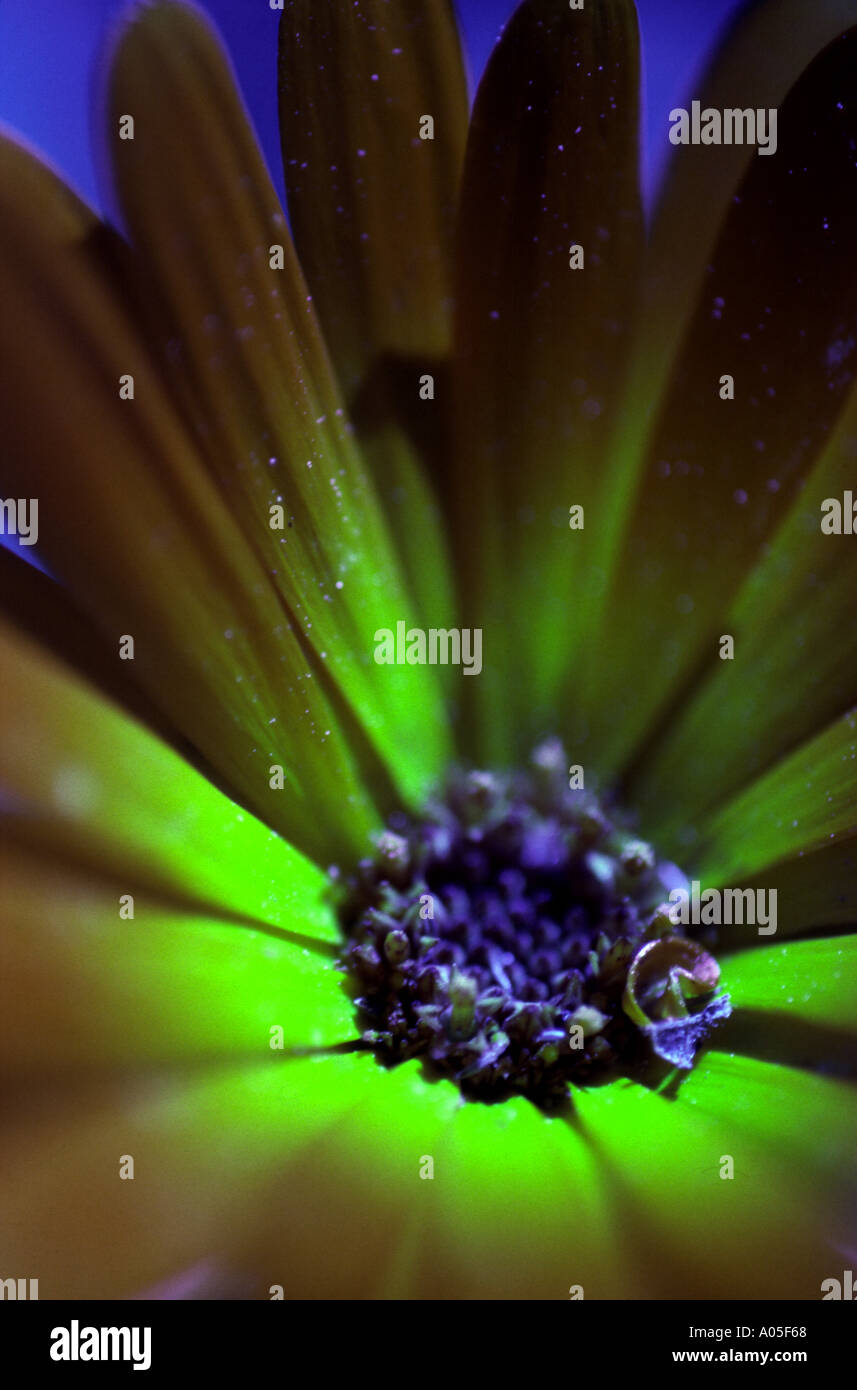 Inner core hi-res stock photography and images - Alamy